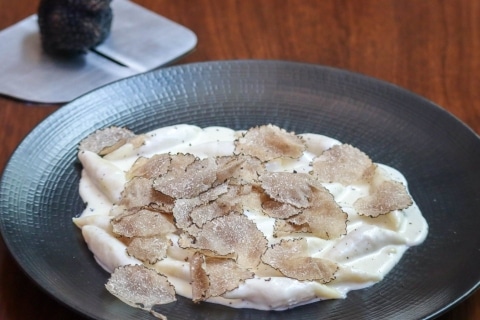 Yolan | Nashville.com