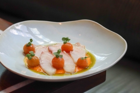 Yolan | Nashville.com